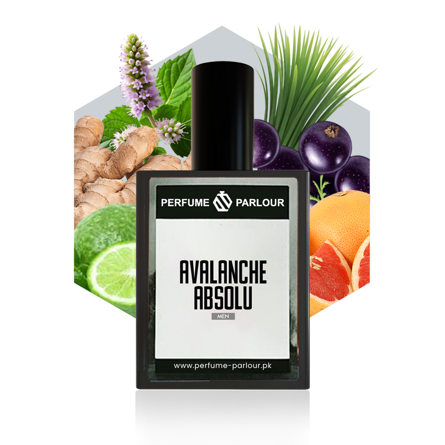 Avalanche Absolu